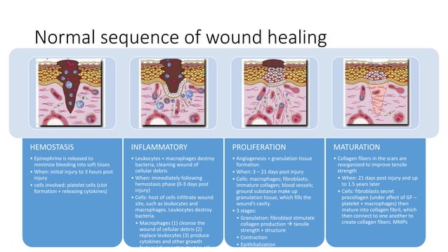 Wound healing and suture material | PPT