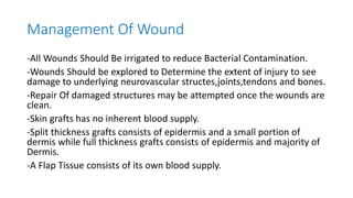 Wound Healing And Tissue Repair (2).pptx