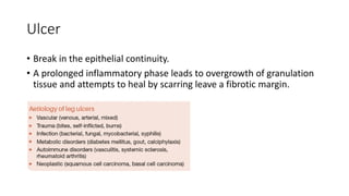Wound Healing And Tissue Repair (2).pptx
