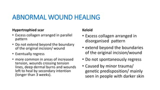 Wound Healing And Tissue Repair (2).pptx