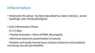 Wound Healing And Tissue Repair (2).pptx