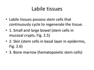 wound healing and wound care.pptx