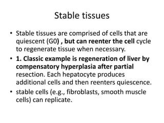 wound healing and wound care.pptx