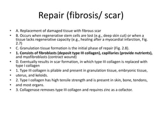 wound healing and wound care.pptx