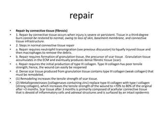 wound healing , factors affectings and wound management | PPTX