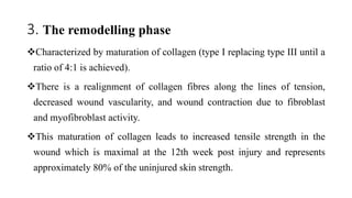 wound healing [Autosaved].pptx