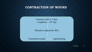 wound healing DR SINDHURA.pptx