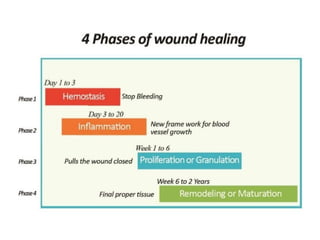 WOUND HEALING management of wounds DR VIHAR.pptx
