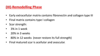 Wound_Healing_Full_Presentation and phases of wound healing.pdf