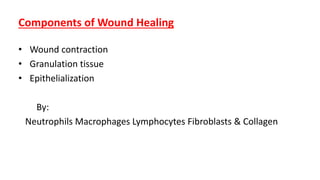 Wound_Healing_Full_Presentation and phases of wound healing.pdf