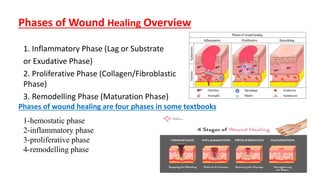 Wound_Healing_Full_Presentation and phases of wound healing.pdf
