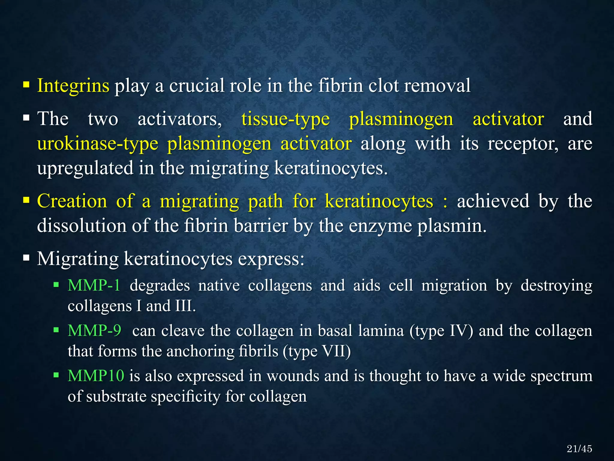 Wound healing in Perio - Dr. Malvika Thakur | PPTX