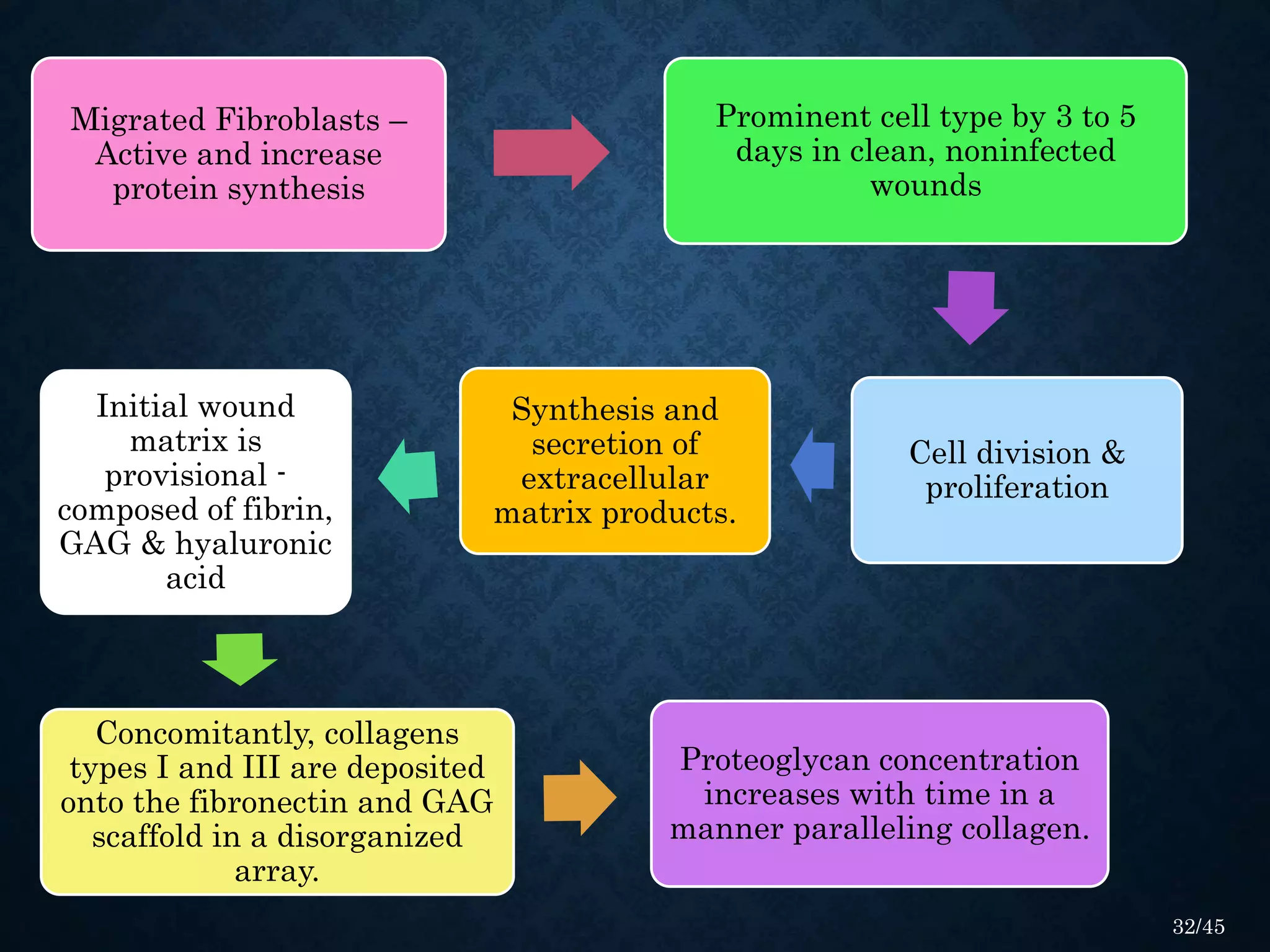 Wound healing in Perio - Dr. Malvika Thakur | PPTX
