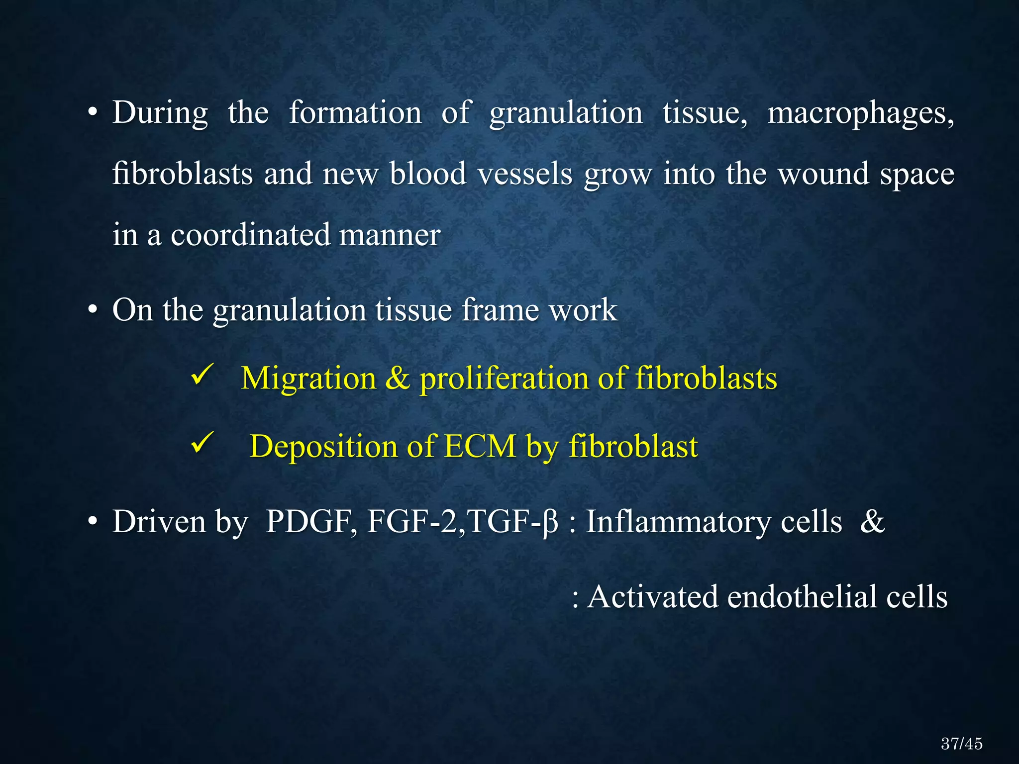 Wound healing in Perio - Dr. Malvika Thakur | PPTX