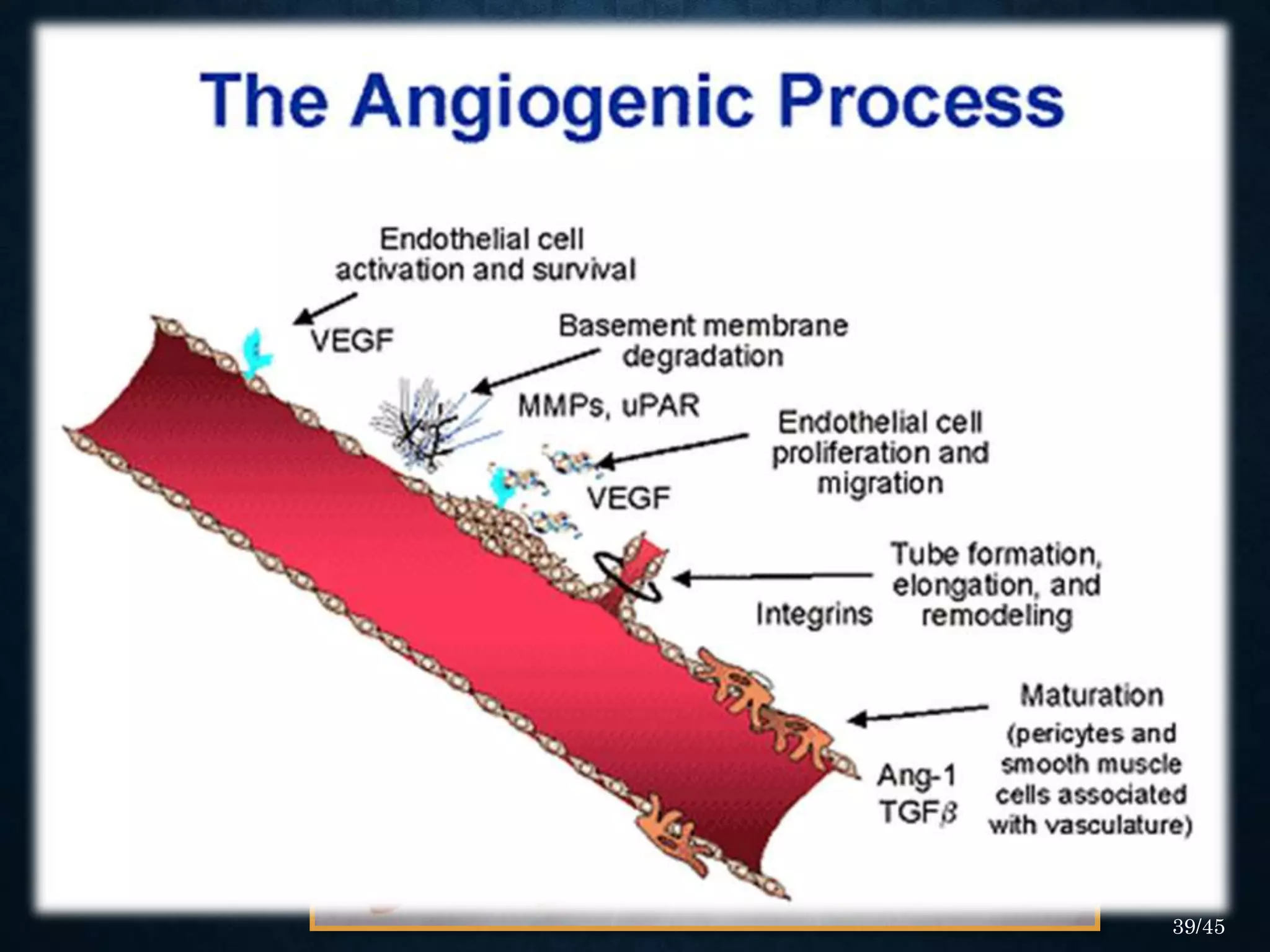 Wound healing in Perio - Dr. Malvika Thakur | PPTX