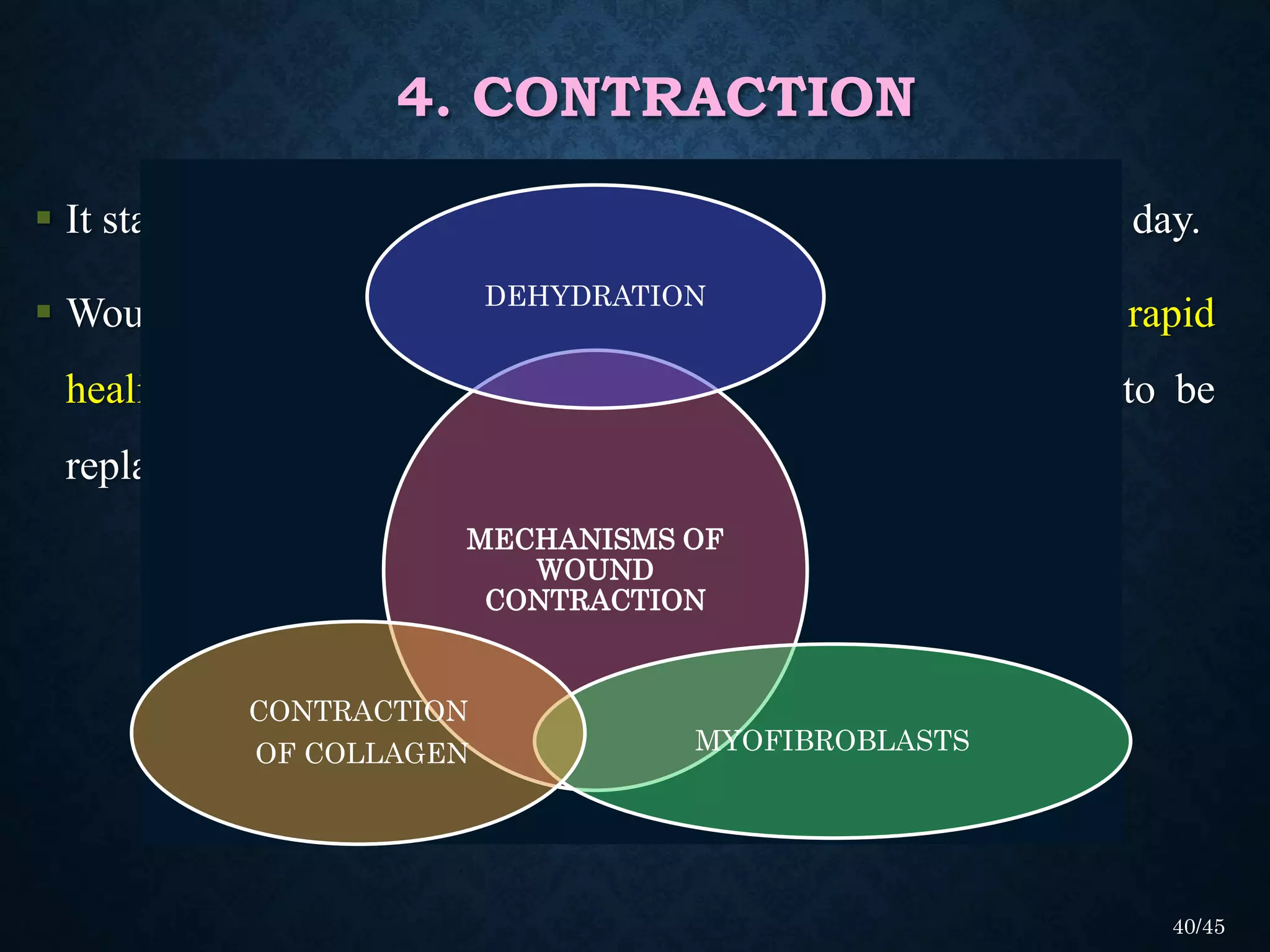 Wound healing in Perio - Dr. Malvika Thakur | PPTX