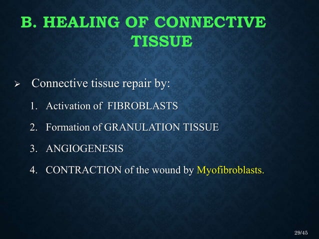 Wound healing in Perio - Dr. Malvika Thakur | PPTX | Skin and ...