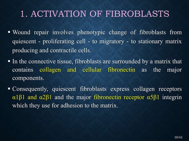 Wound healing in Perio - Dr. Malvika Thakur | PPTX | Skin and ...