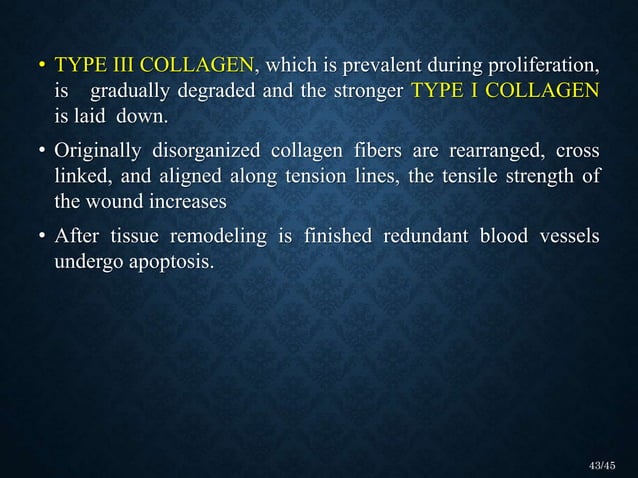 Wound healing in Perio - Dr. Malvika Thakur | PPTX | Skin and ...