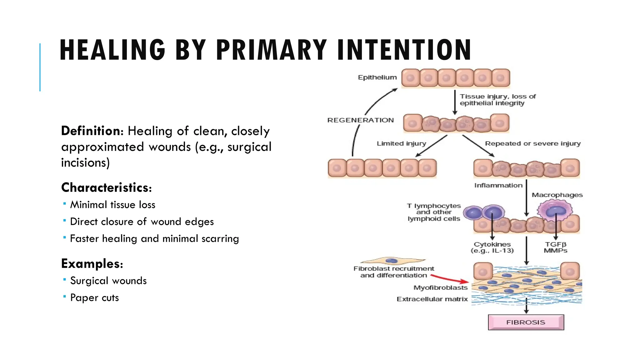 WOUND HEALING ,KELOIDS AND HYPERTROPHIC SCARS BY DR ABRAHAM.pptx