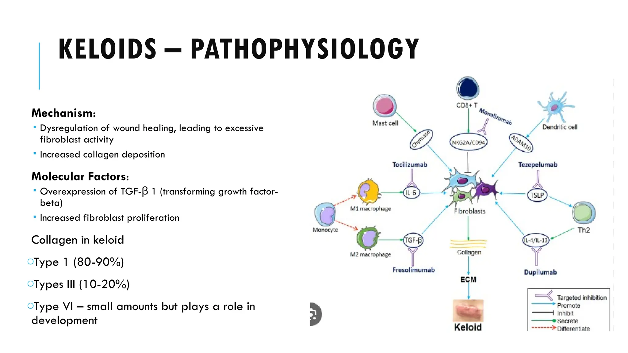 WOUND HEALING ,KELOIDS AND HYPERTROPHIC SCARS BY DR ABRAHAM.pptx