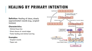 WOUND HEALING ,KELOIDS AND HYPERTROPHIC SCARS BY DR ABRAHAM.pptx