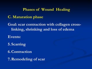 Wound Healing Lec | PPT