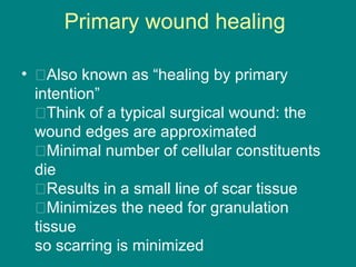 Wound healing Dr.Mahmoud Ameen | PPT