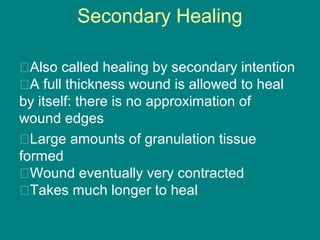 Wound healing Dr.Mahmoud Ameen | PPT