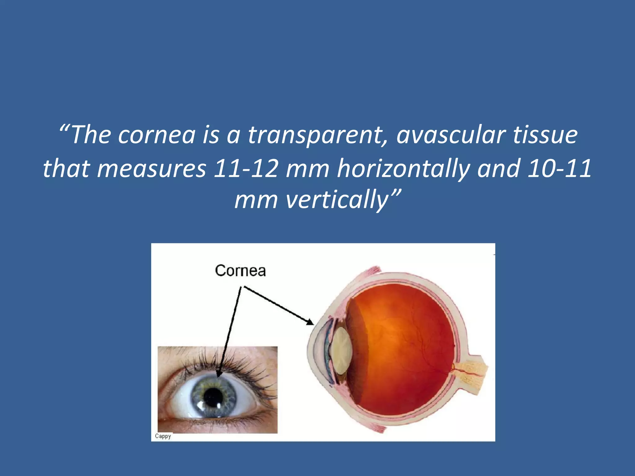 Wound healing of cornea | PPTX