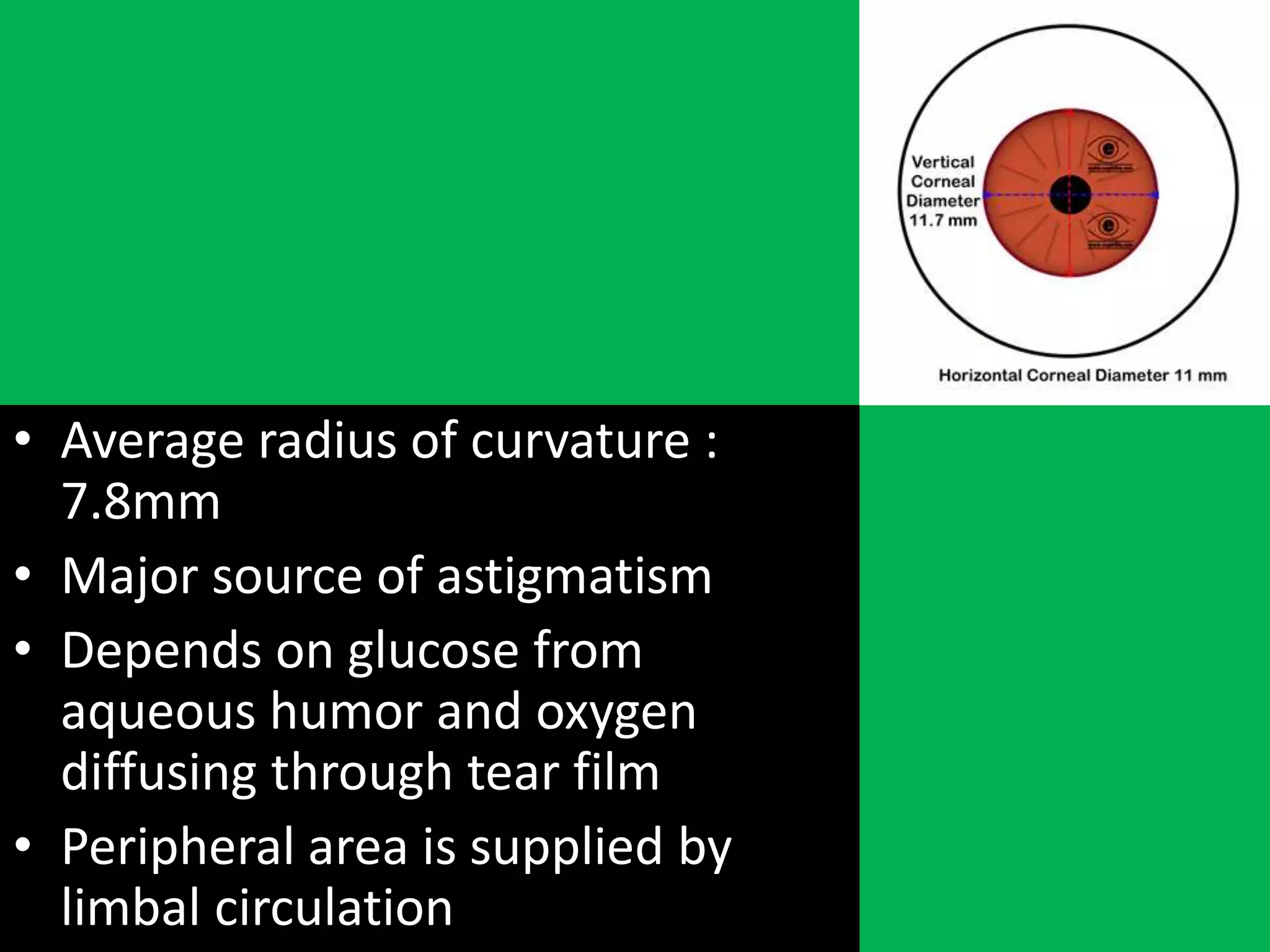 Wound healing of cornea | PPTX