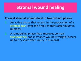 Wound healing of cornea | PPTX