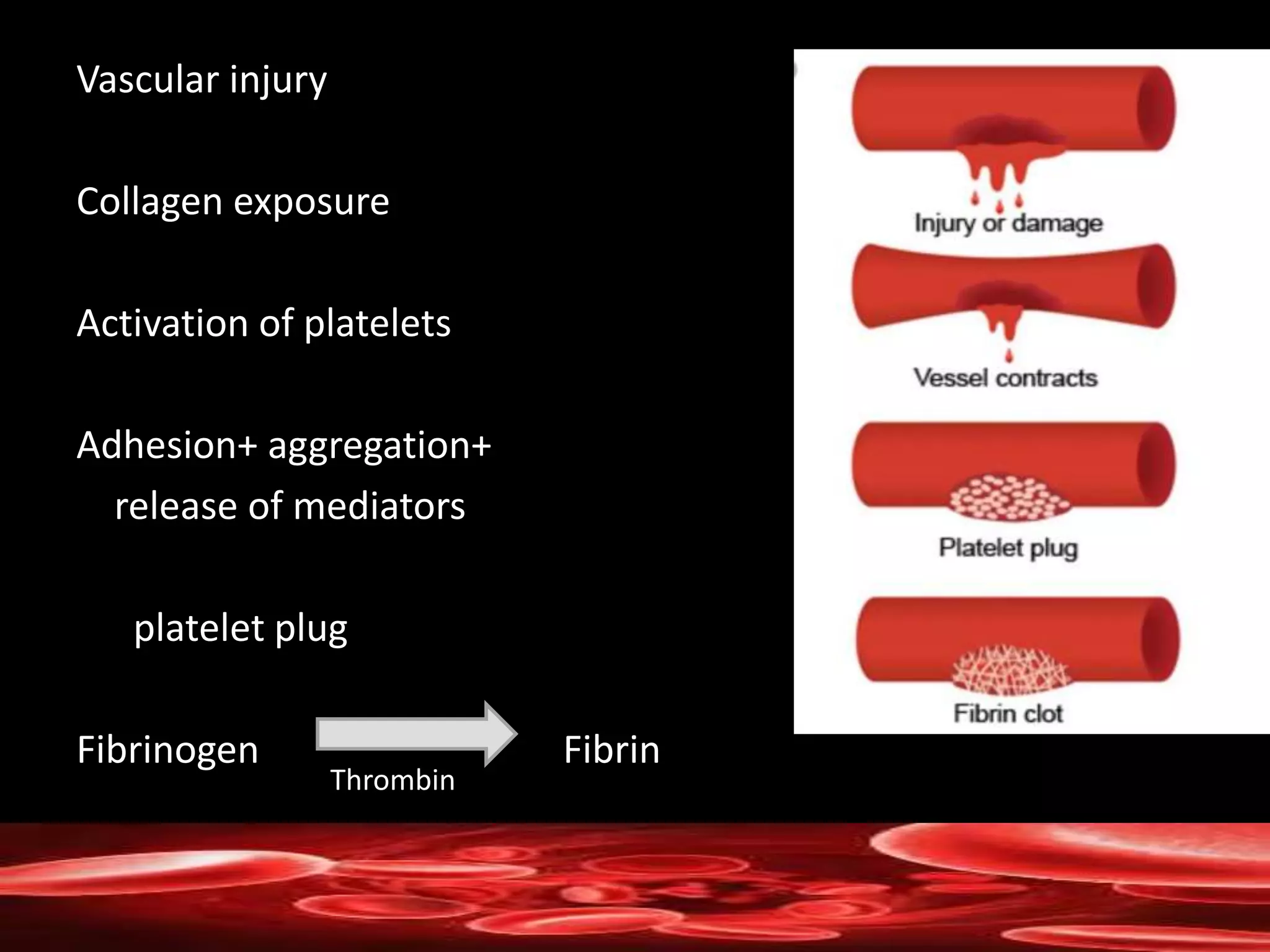 Wound healing of oral lesions | PPTX