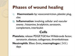 Wound healing ppt Olwa. Pathology pathogenesis | PPTX