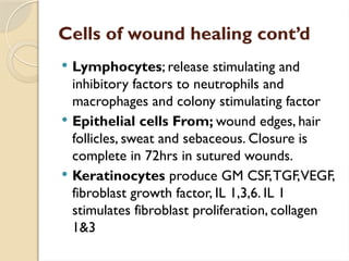 Wound healing ppt Olwa. Pathology pathogenesis | PPT