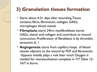 Wound healing ppt Olwa. Pathology pathogenesis | PPT