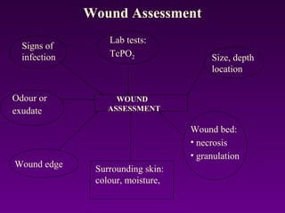 Wound Healing Presentation | PPT