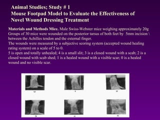 Wound Healing Presentation | PPT