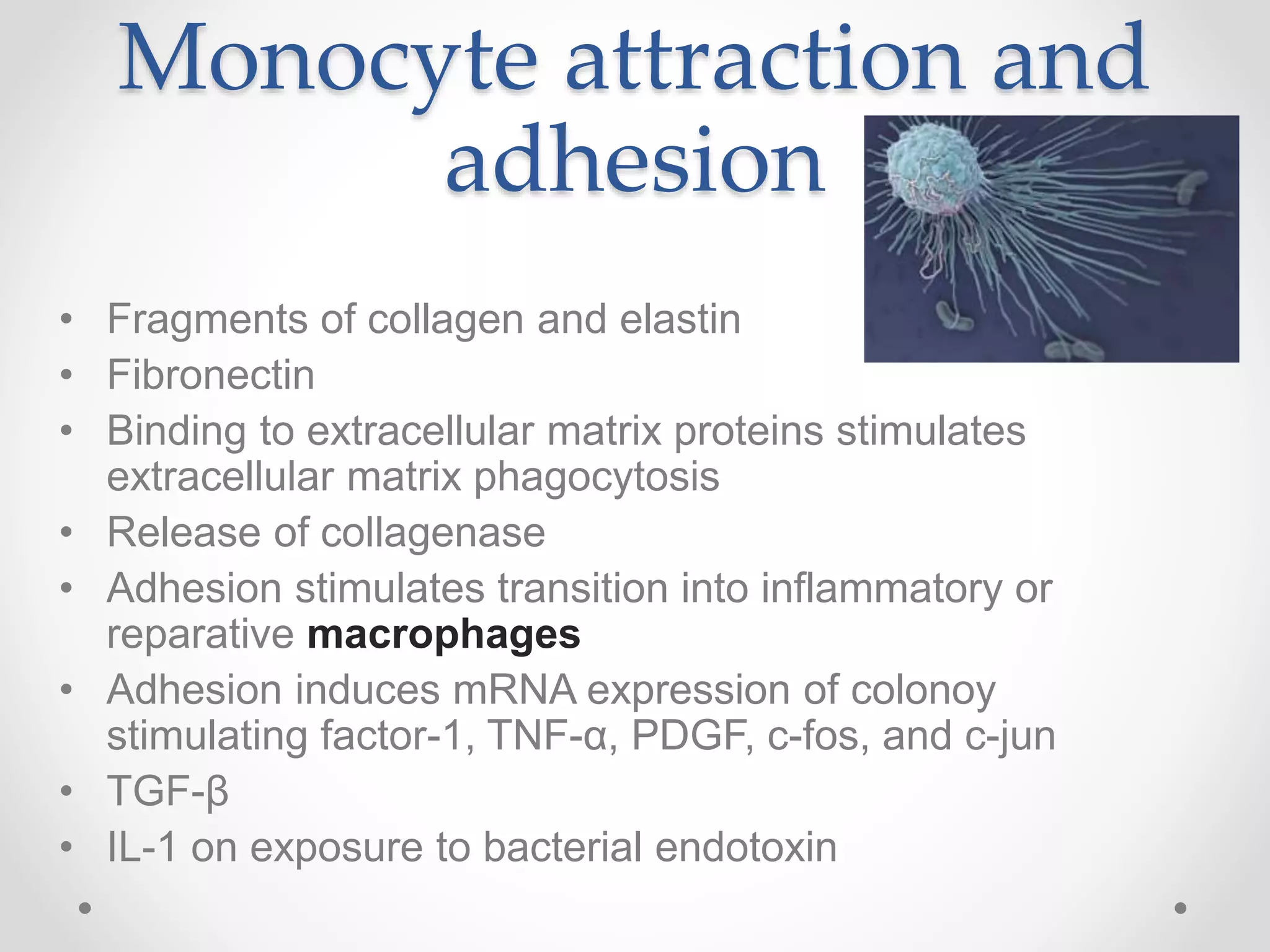 Cutaneous wound healing: plastic surgery departmental teaching | PPTX