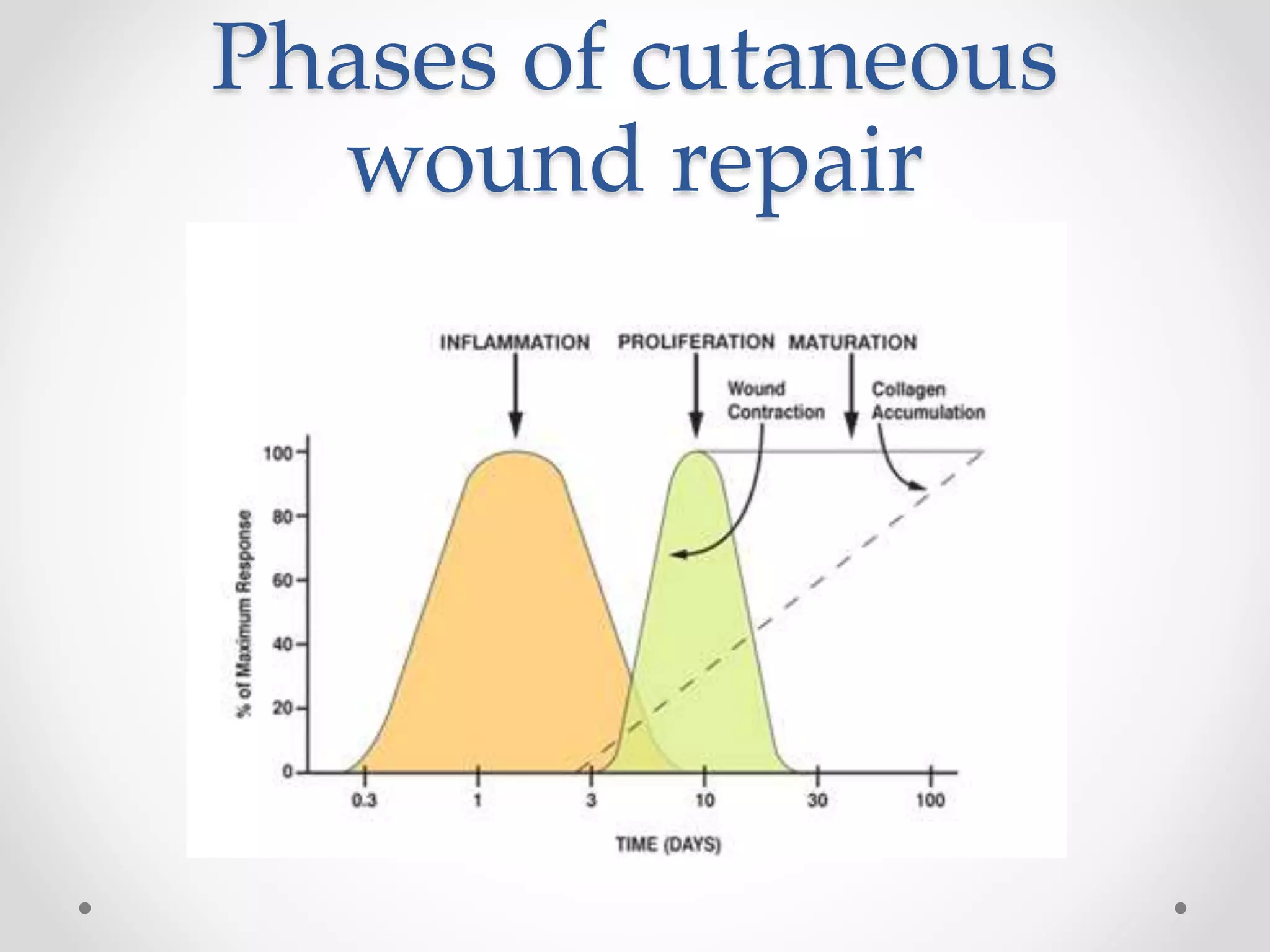 Cutaneous wound healing: plastic surgery departmental teaching | PPTX