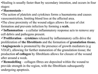 wound healing primary and secondary intention.pdf