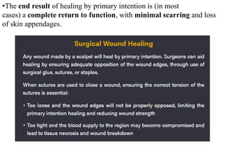 wound healing primary and secondary intention.pdf