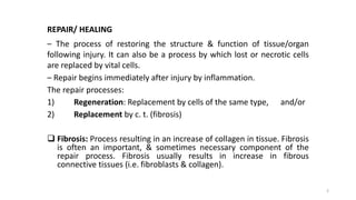 Wound healing (repair) | PPTX