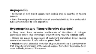 Wound healing (repair) | PPTX