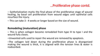 Wound healing (repair) | PPTX