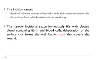 wound healing and types of wound healing and soft tissue and hardtissue ...