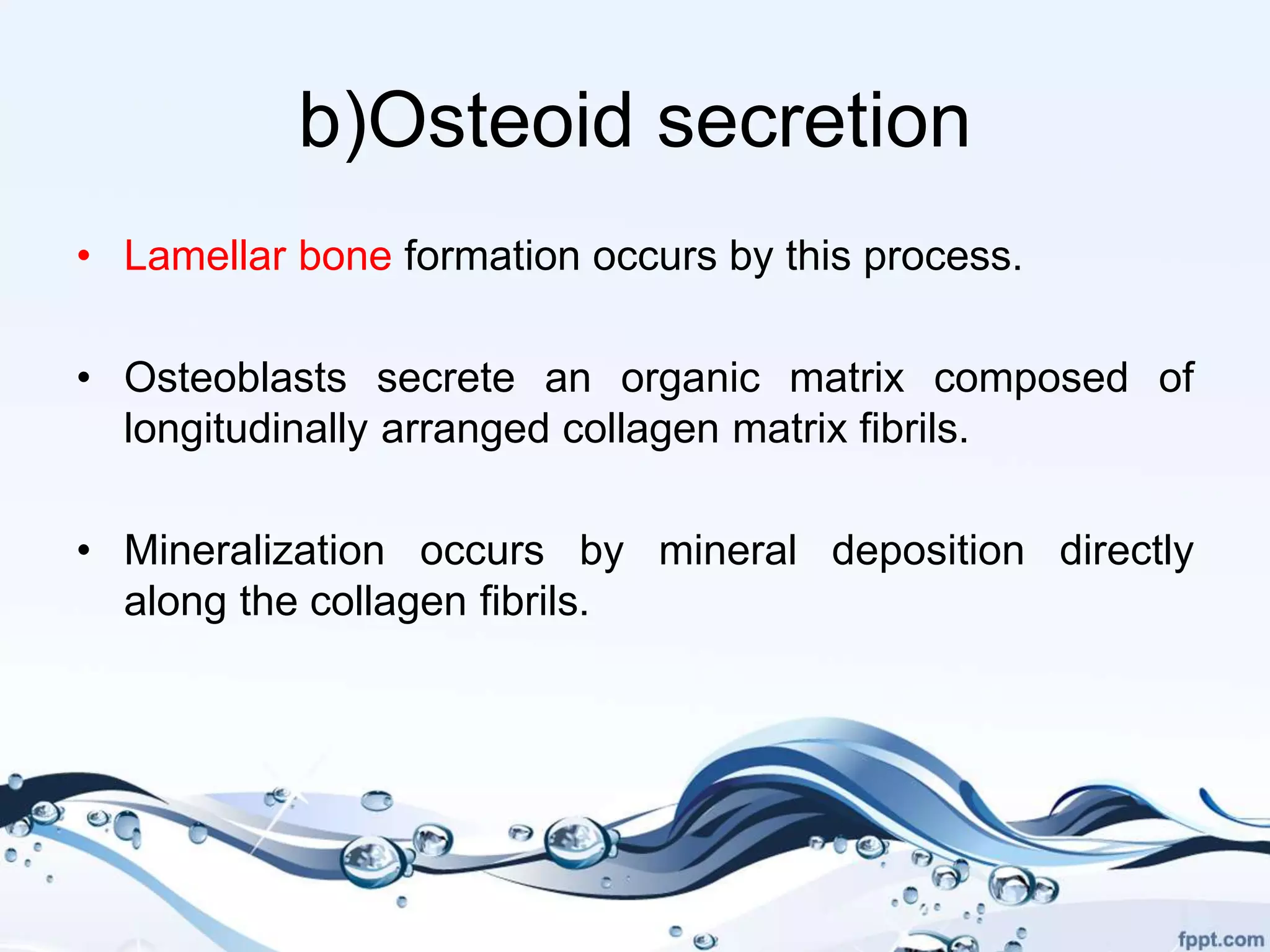 Wound healing | PPTX