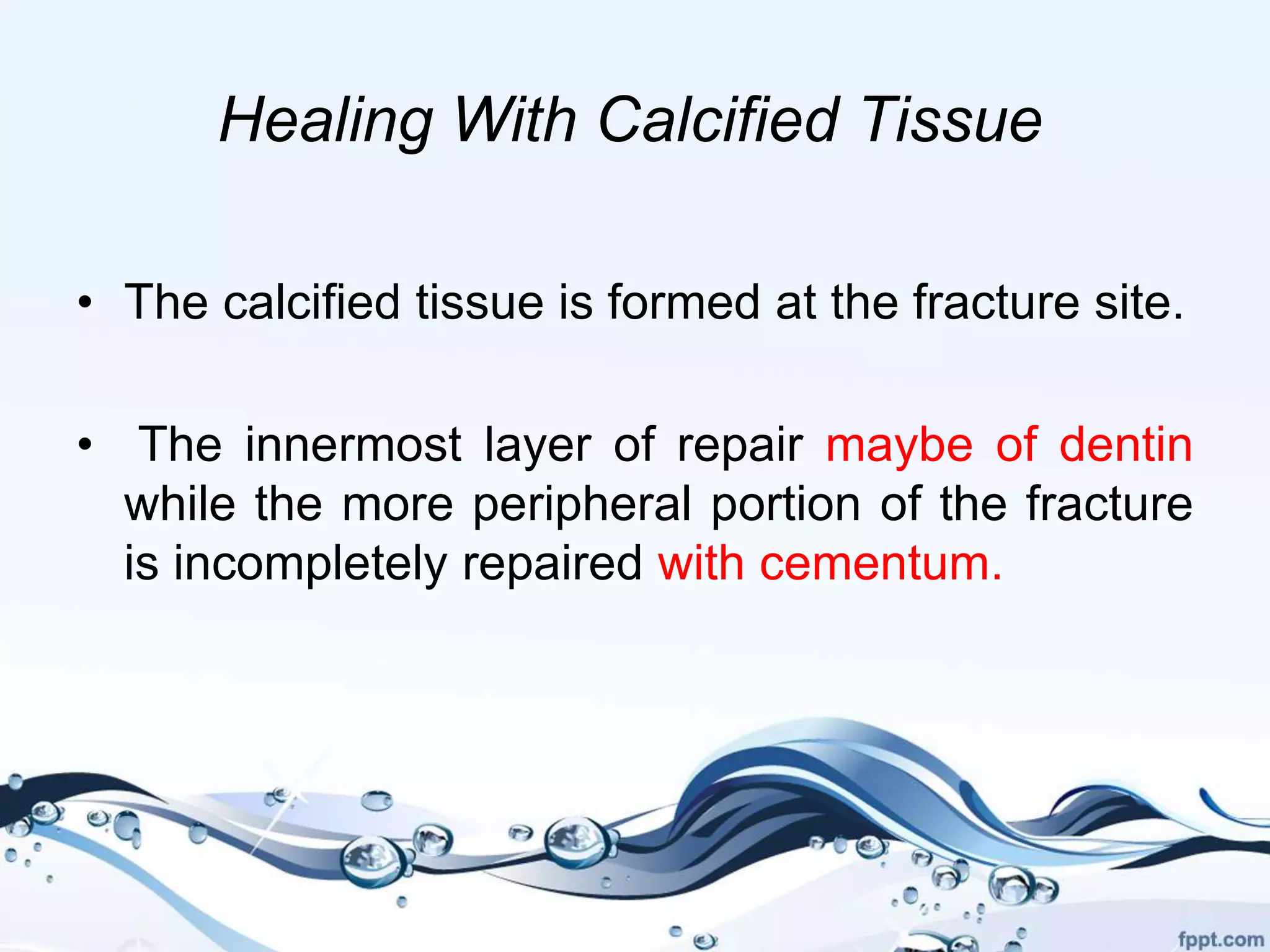 Wound healing | PPTX