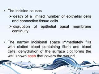Wound healing | PPTX