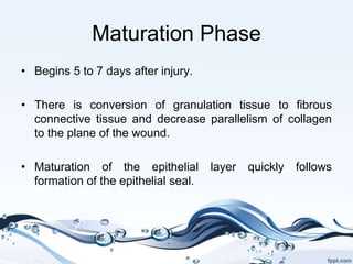 Wound healing | PPTX